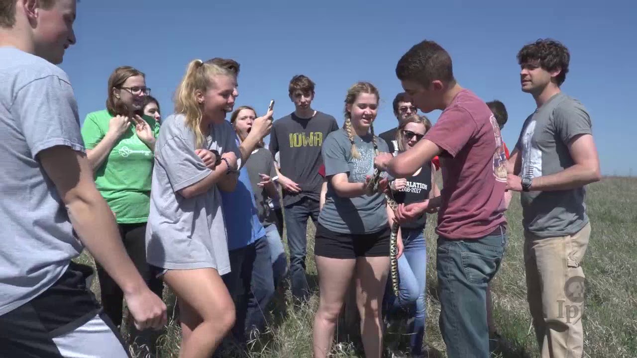 Engeldinger Marsh "Stomp" | Iowa Land and Sky - YouTube