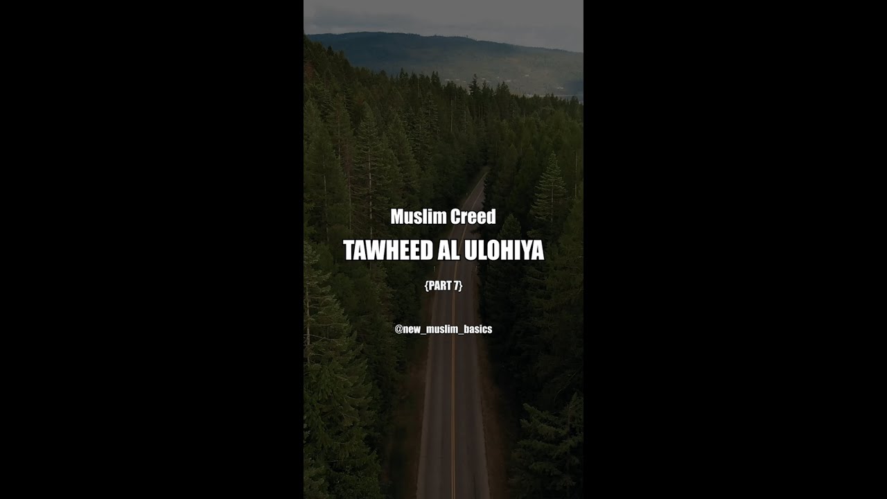 Understanding Tawheed Al Ulohiya (part 7) - YouTube