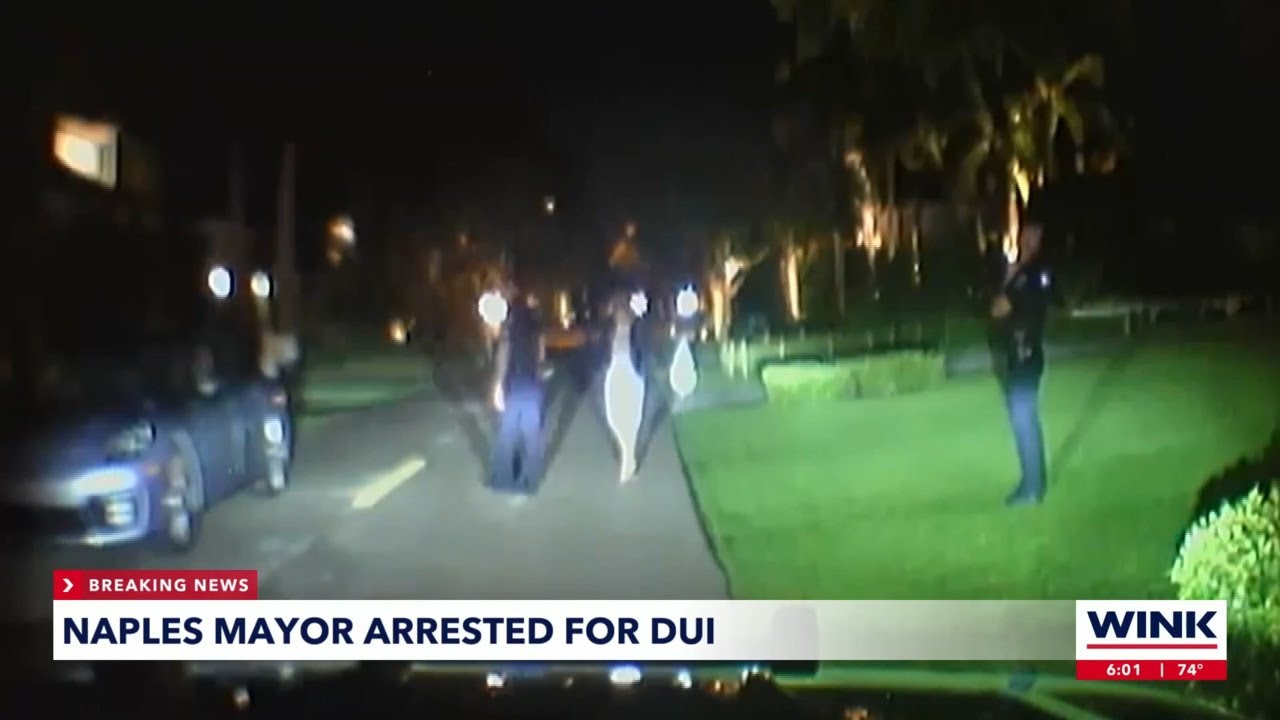Naples Mayor Teresa Heitmann arrested for DUI, BAC twice over legal ...