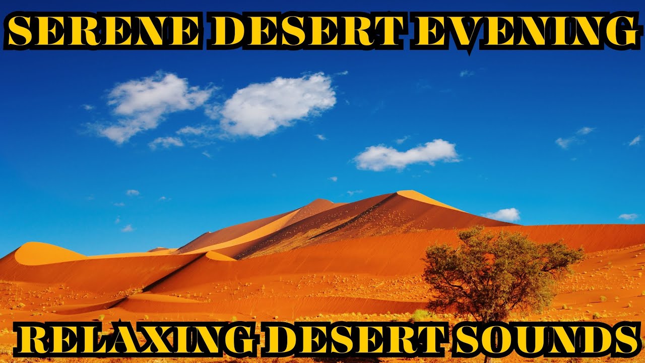 Serene Desert Evening | Relaxing Desert Sounds - YouTube