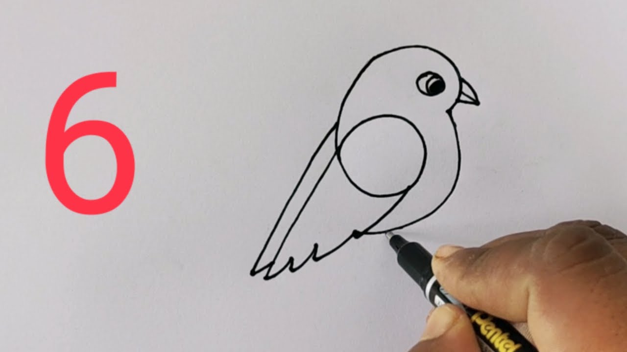 Bird 6 Number Used Drawing | How To turn 6 in Bird drawing - YouTube