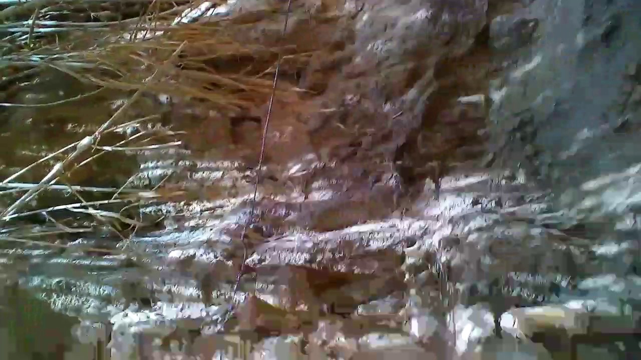 شلال في عين جدي Youtube