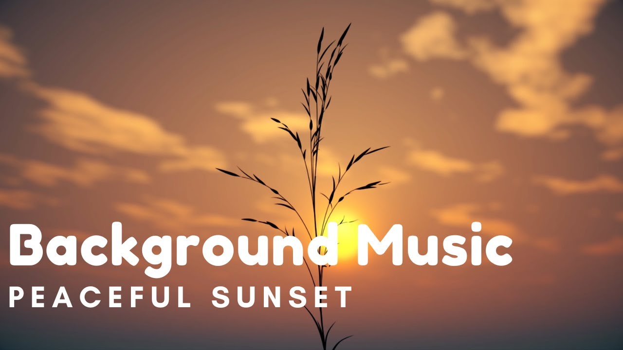 Background Music / Peaceful sunset / Soft Music for Work and Studying ...