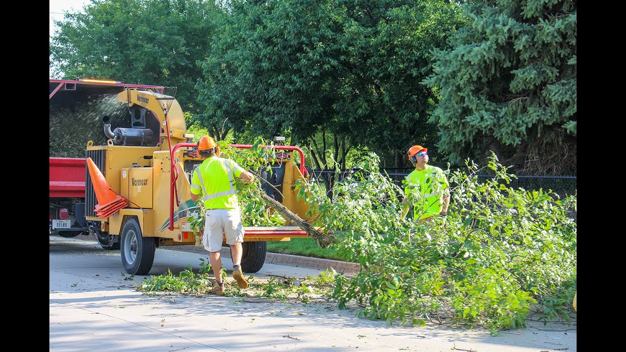 Thank you to the Parks & Public Works Crews - YouTube