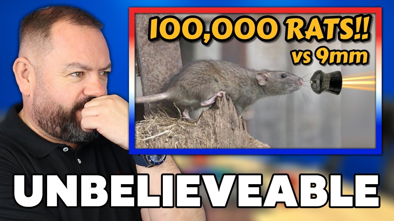 100,000 Rats in an Infested Warehouse! REACTION | OFFICE BLOKES REACT ...