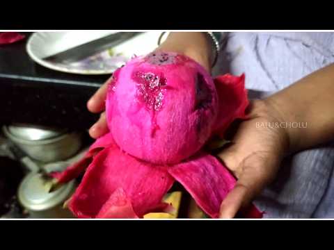 ഒരു ഡ്രാഗൺ ഫ്രൂട്ട് അപാരത | Dragon Fruit😝| Balu& Cholu - YouTube