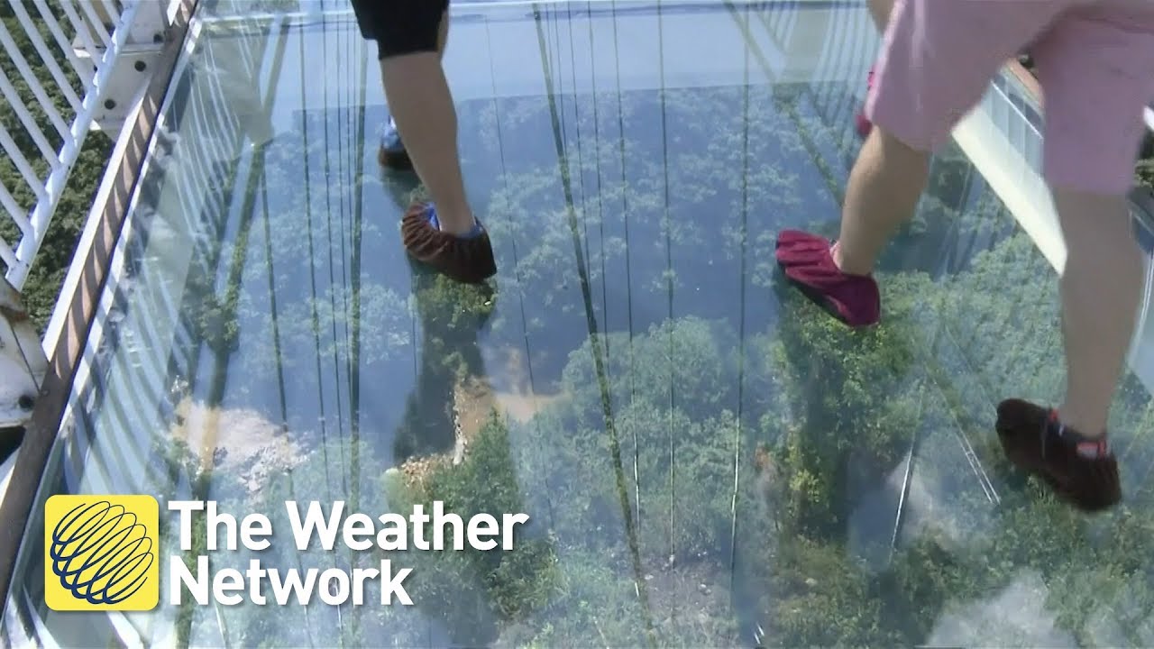 Scary experience for visitors walking on glass suspension bridge in ...