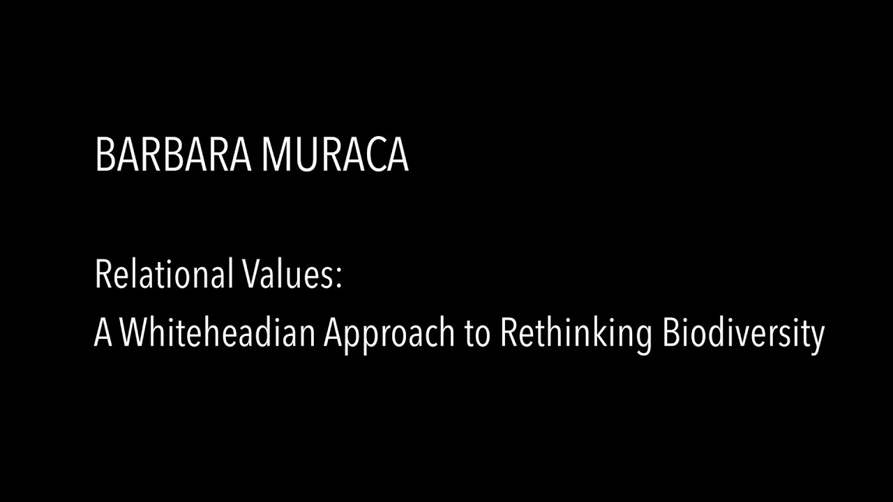 Barbara Muraca - Relational Values: a Whiteheadian Approach to ...