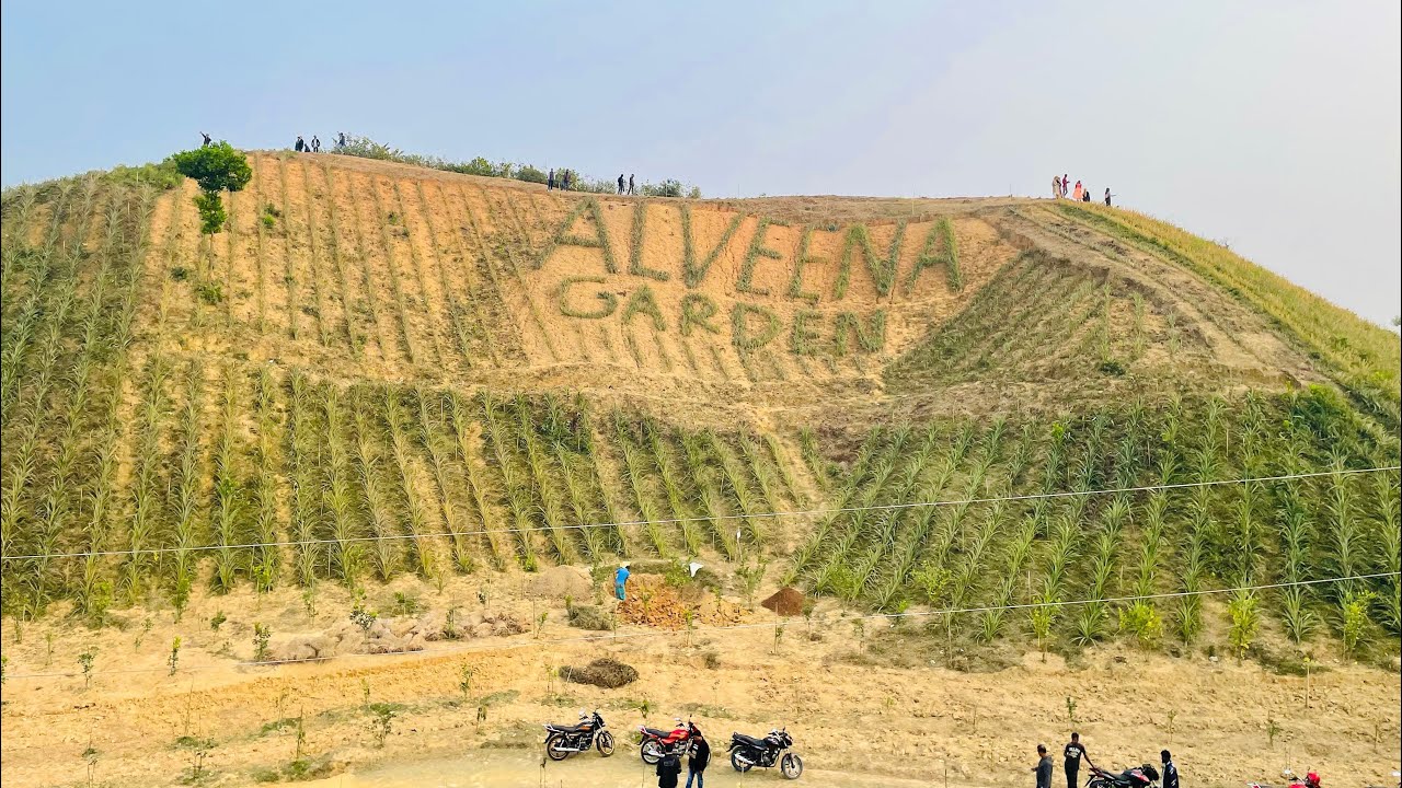 Alveena Garden/ আলভিনা গার্ডেন - YouTube