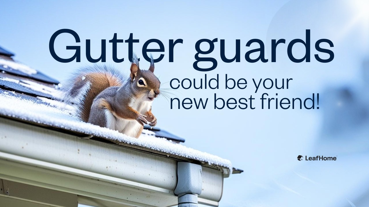Winter Gutter Guards and Gutter Guard Comparison: How to Choose the ...