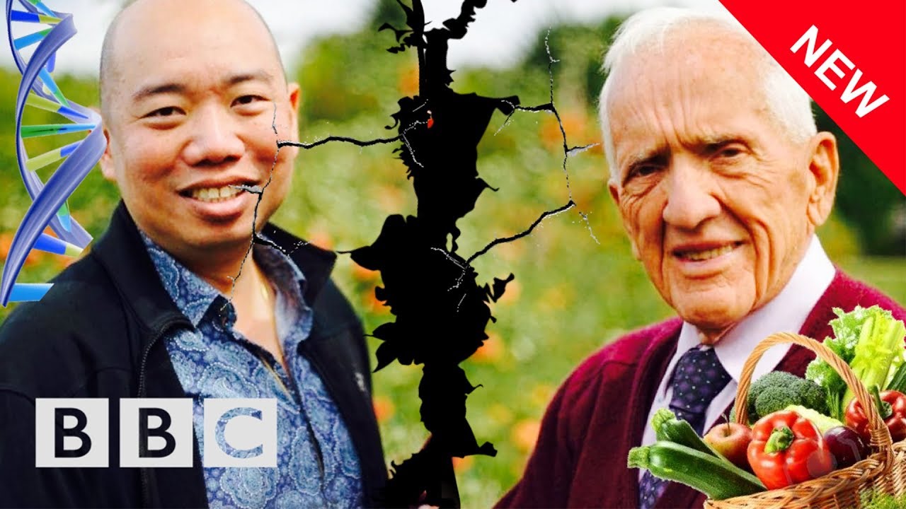 FAT GENES vs PLANT BASED DIET w/ Dr. Giles Yeo & Dr. T. Colin Campbell ...