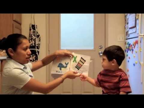 Leonidas' Letters, Numbers, & Colors, Oh My! - YouTube