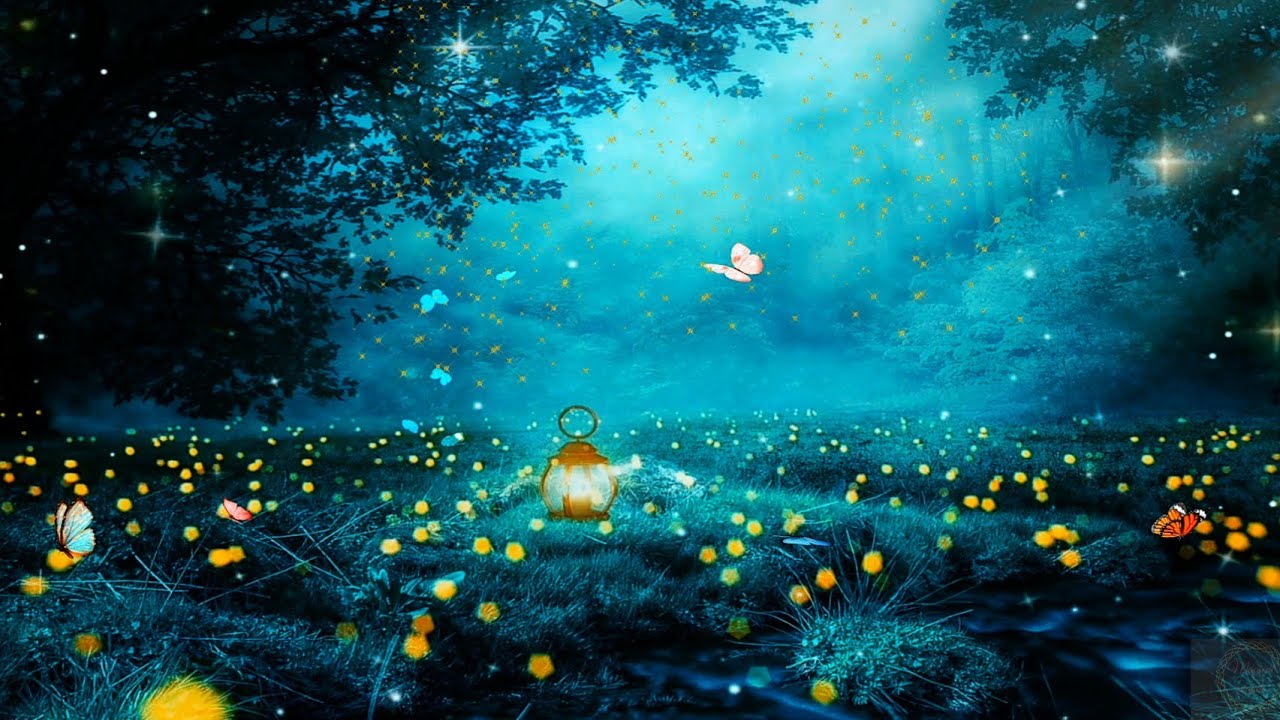 Enchanted Forest Ambience with river sounds, cricket sounds and night ...