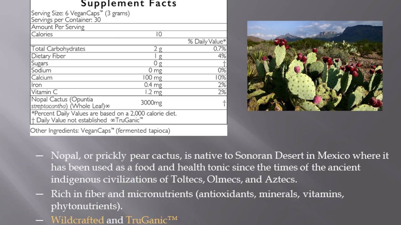 Nopal Blood Sugar Product Training - YouTube