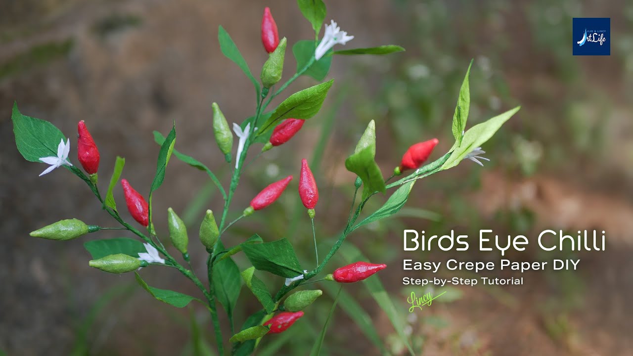 🌶️DIY Birds Eye Chilli with Crepe Paper – Realistic & Easy Craft! 🎨 ...