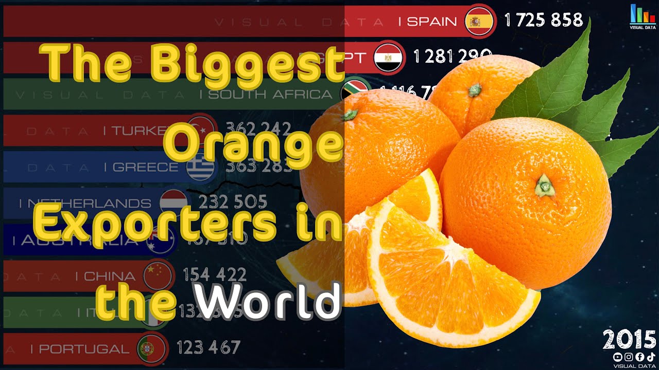 The Biggest Orange Exporters in the World (Tons) - YouTube
