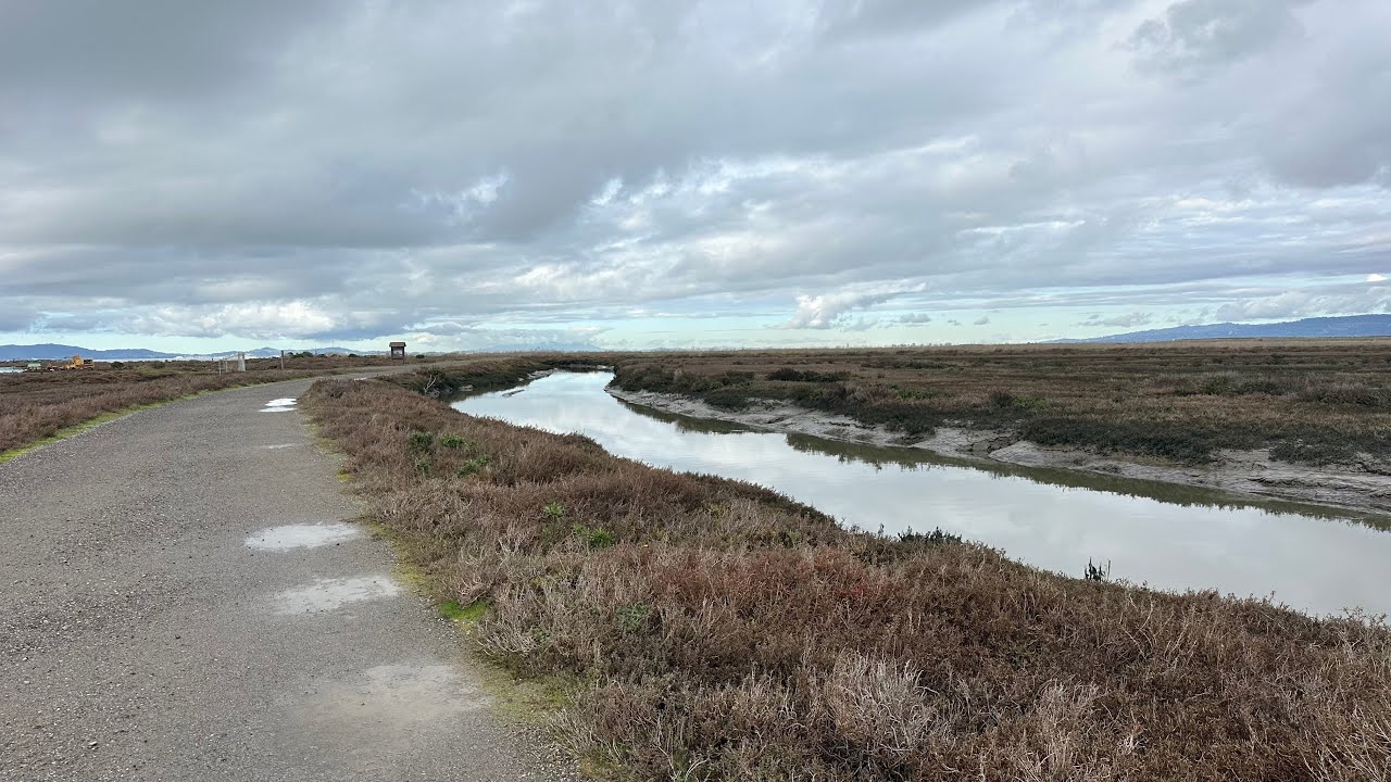 Biking Trail - Hayward Shoreline to Oyster Bay. | 2/7/2025 - YouTube