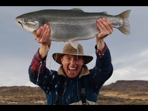 Jurassic Lake -Monster Rainbow Trout - YouTube