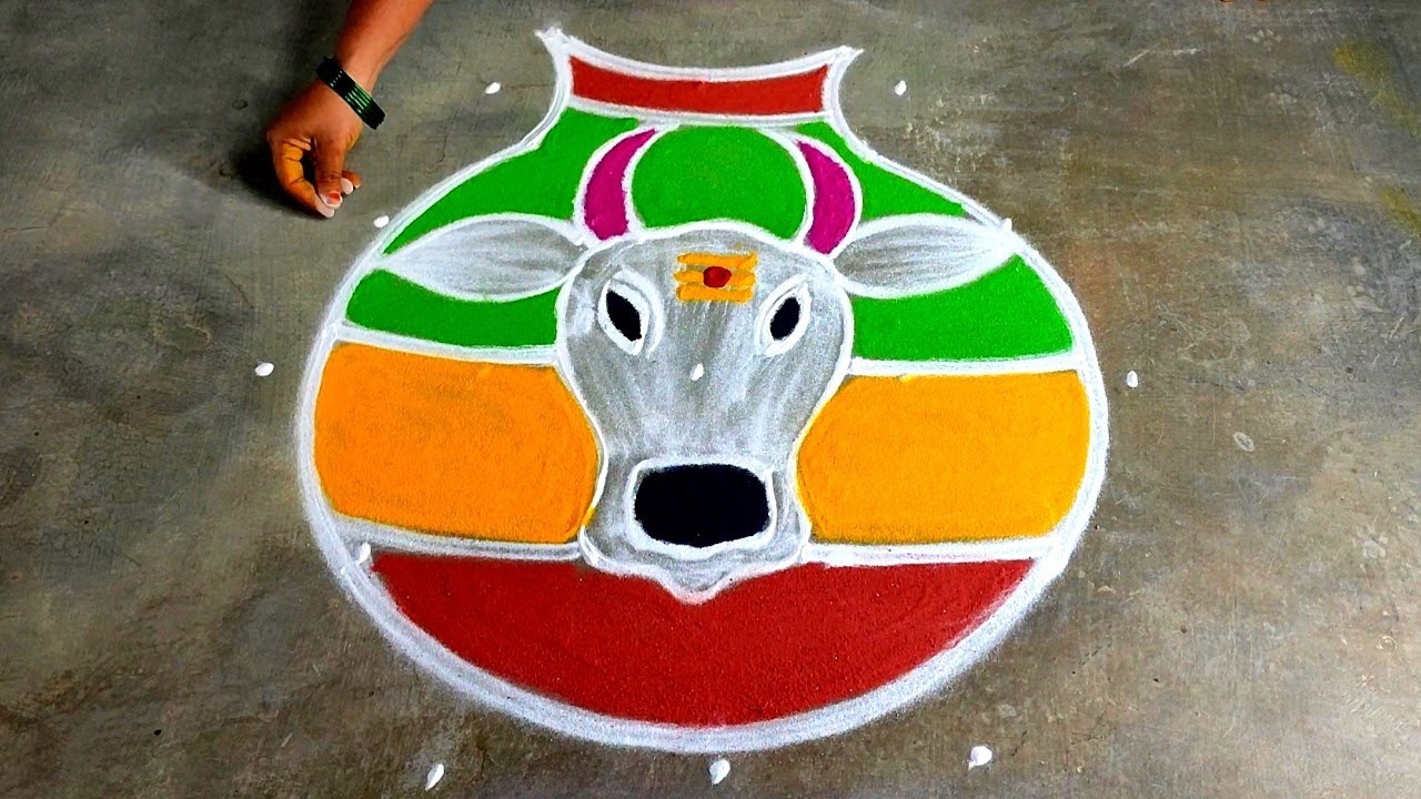 Maatu pongal 2023 kolam|Pongal gangireddu muggulu|basavanna muggulu|5*3 ...