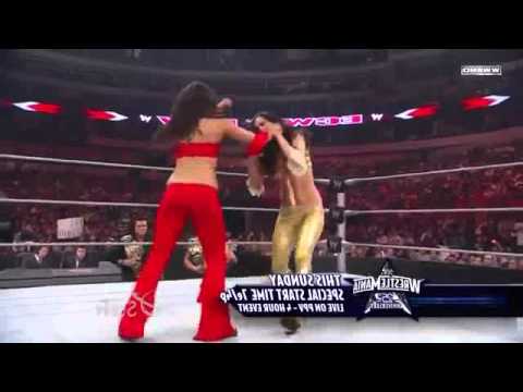 Nikki Bella vs. Brie Bella