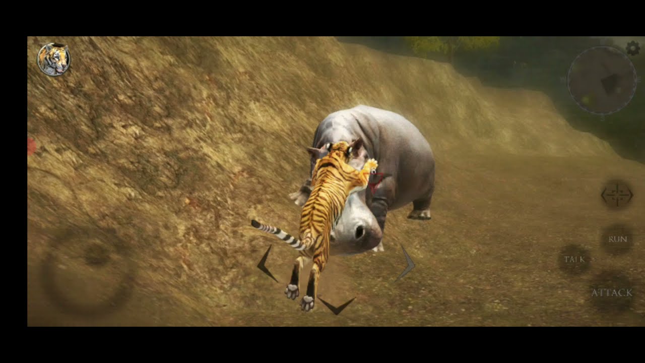 Ultimate Tiger Simulator 2 gameplay - YouTube