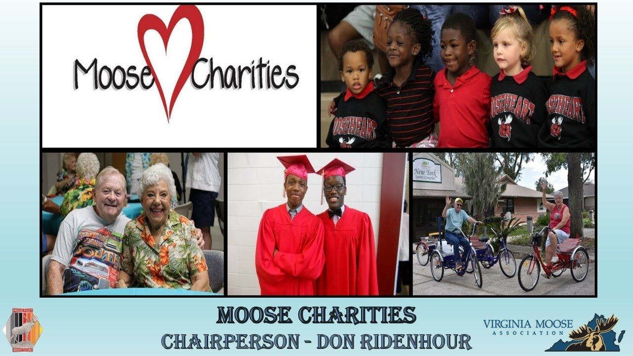2024 Mid-Year Moose Charities Report - YouTube