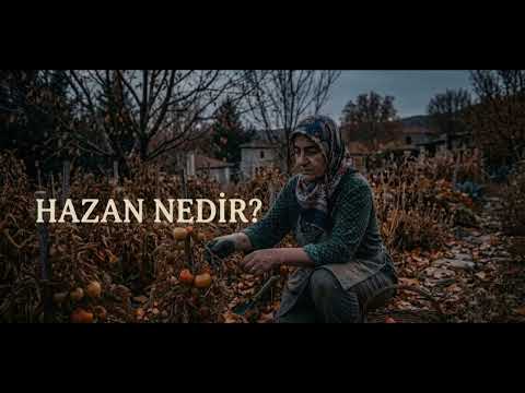 Deniz Toprak -  Hazan Nedir- Anatolian Rock & Psychedelic Cover