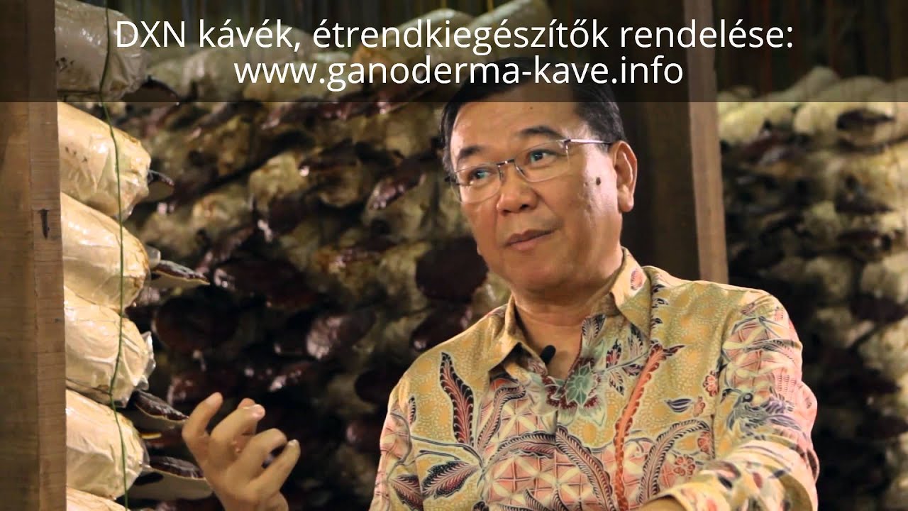 A Nagy Ganoderma Videó: ganoderma gomba hatása, mire jó a ganoderma ...