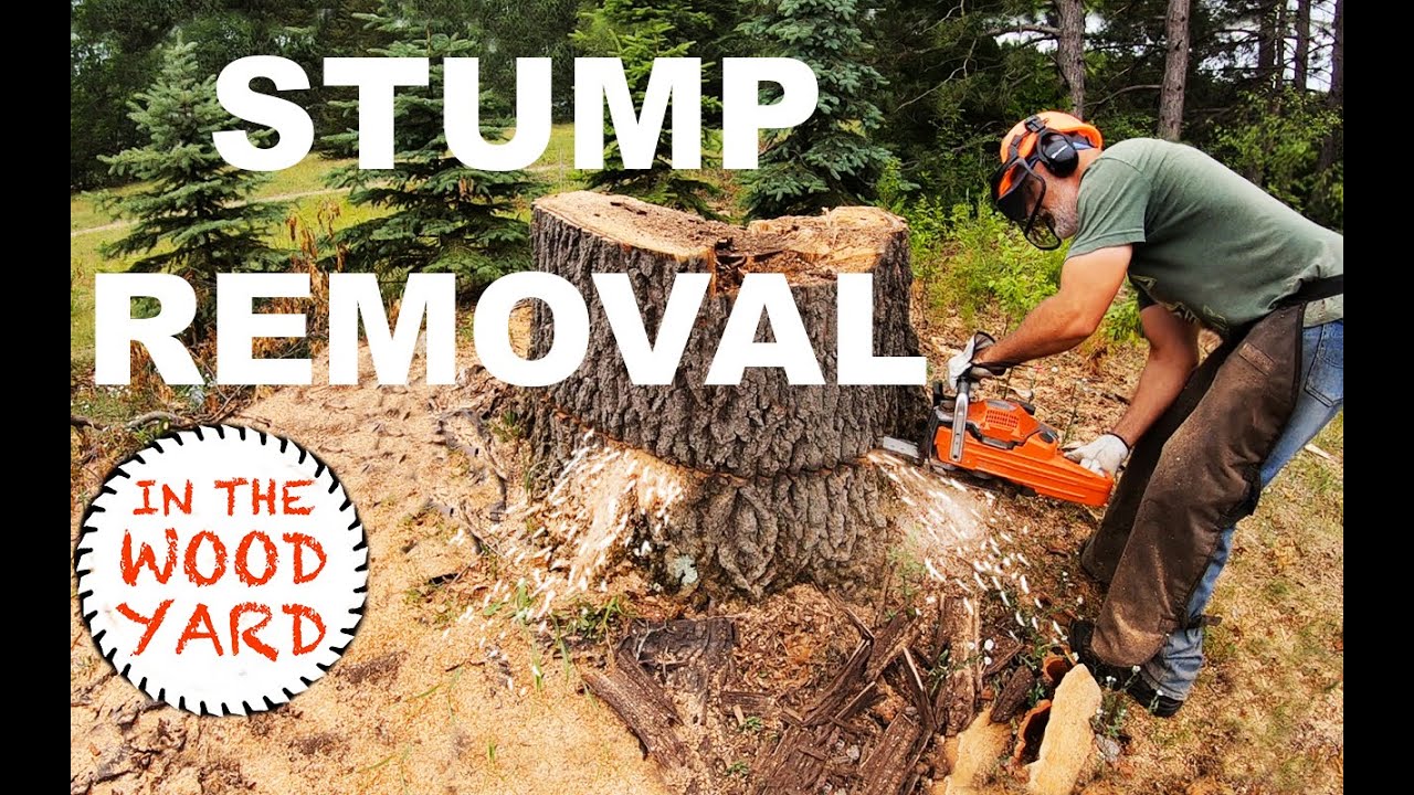 Cutting off a BIG stump! Is it worth it? - #375 - YouTube