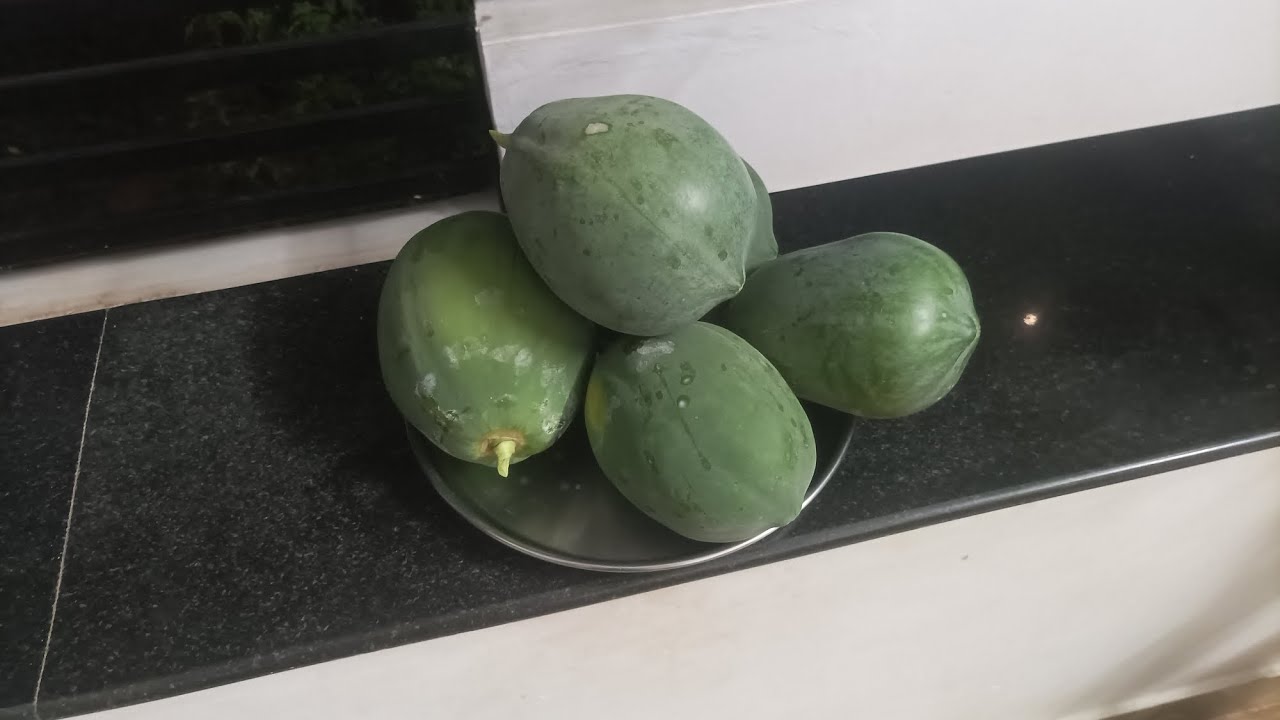 Harvesting of Pappali fruits ( Papaya Fruits) - YouTube