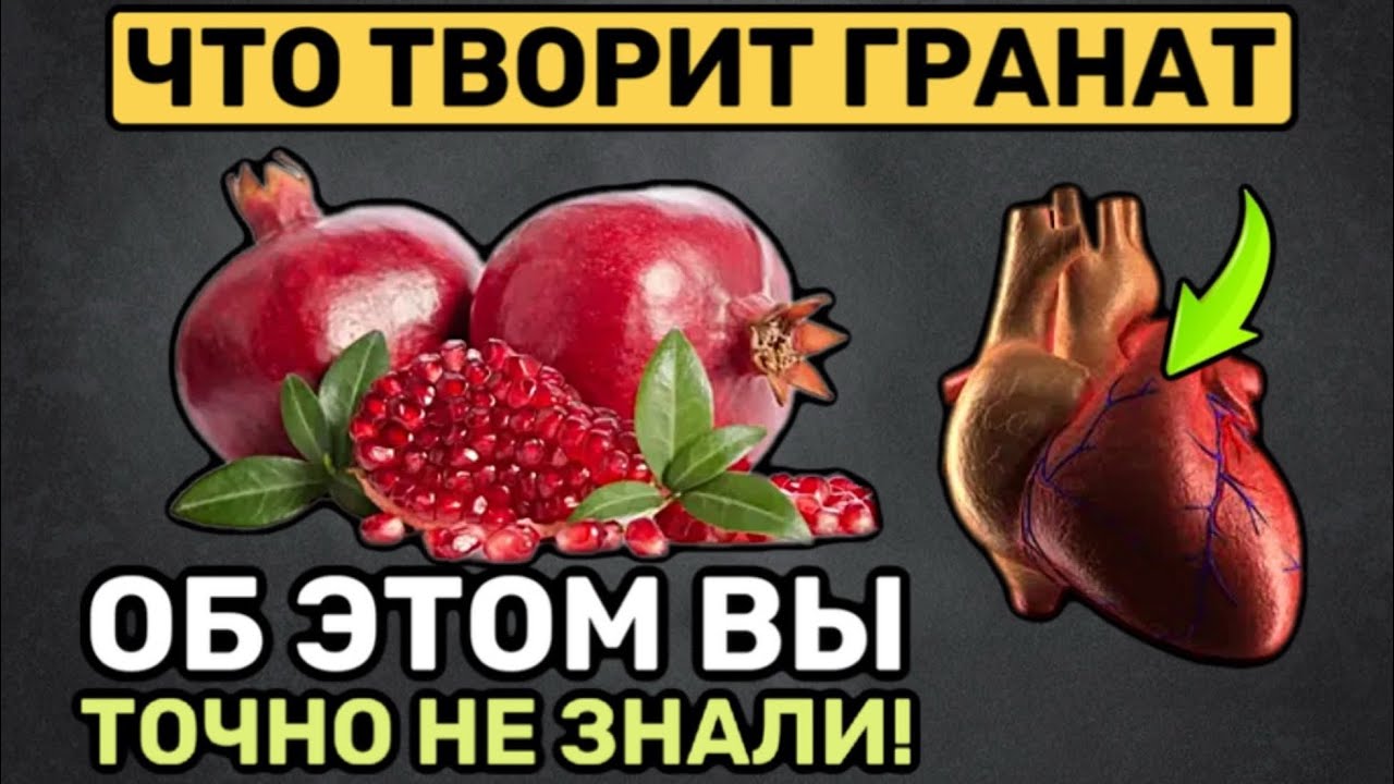 Об этом Вы точно НЕ ЗНАЛИ Интересные факты про гранат Youtube