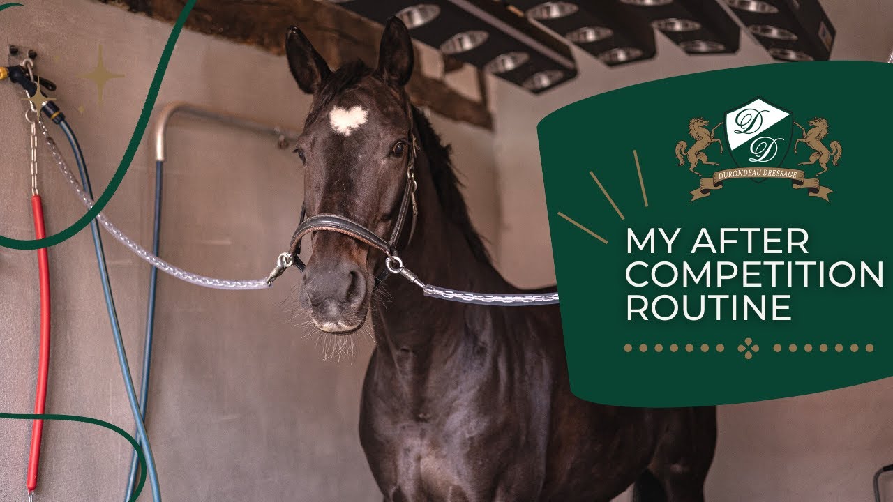 Episode 6: The aftercare, how to help your horse recover after ...