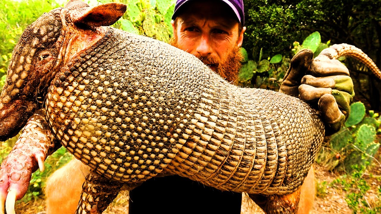 Hunting Armadillos for Dinner: Survival Cooking in the Wild (Start-to ...