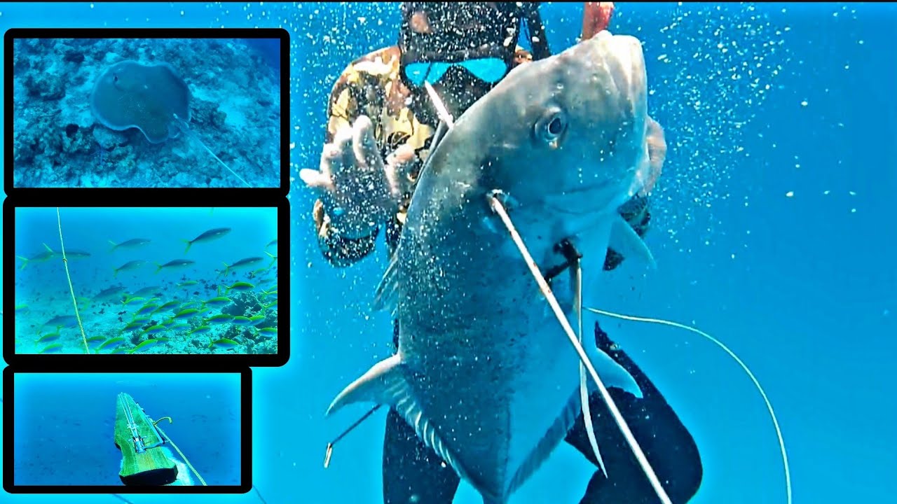 WOW! IKAN GT BESAR BERHASIL TERTANGKAP DI SPOT BAGUS - YouTube