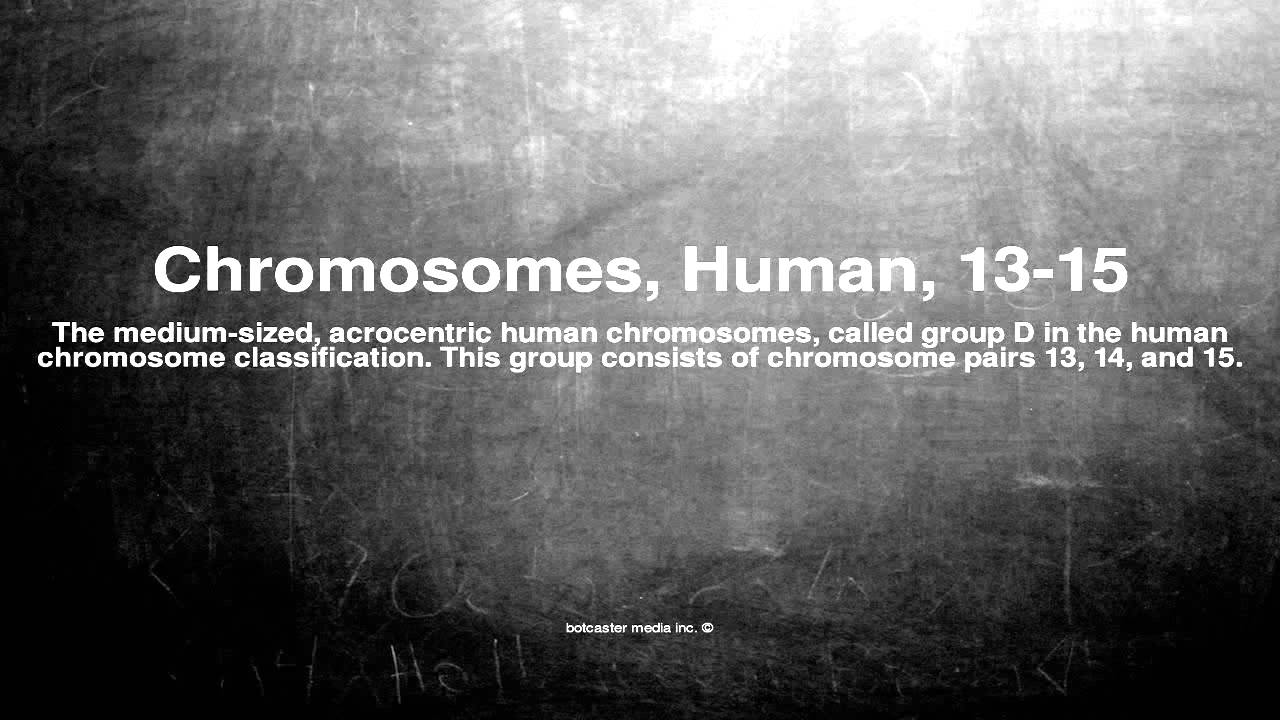 Medical vocabulary: What does Chromosomes, Human, 13-15 mean - YouTube