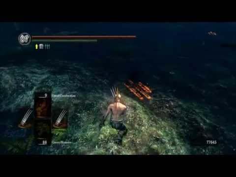 Yween - Dark Souls Forest pvp compilation
