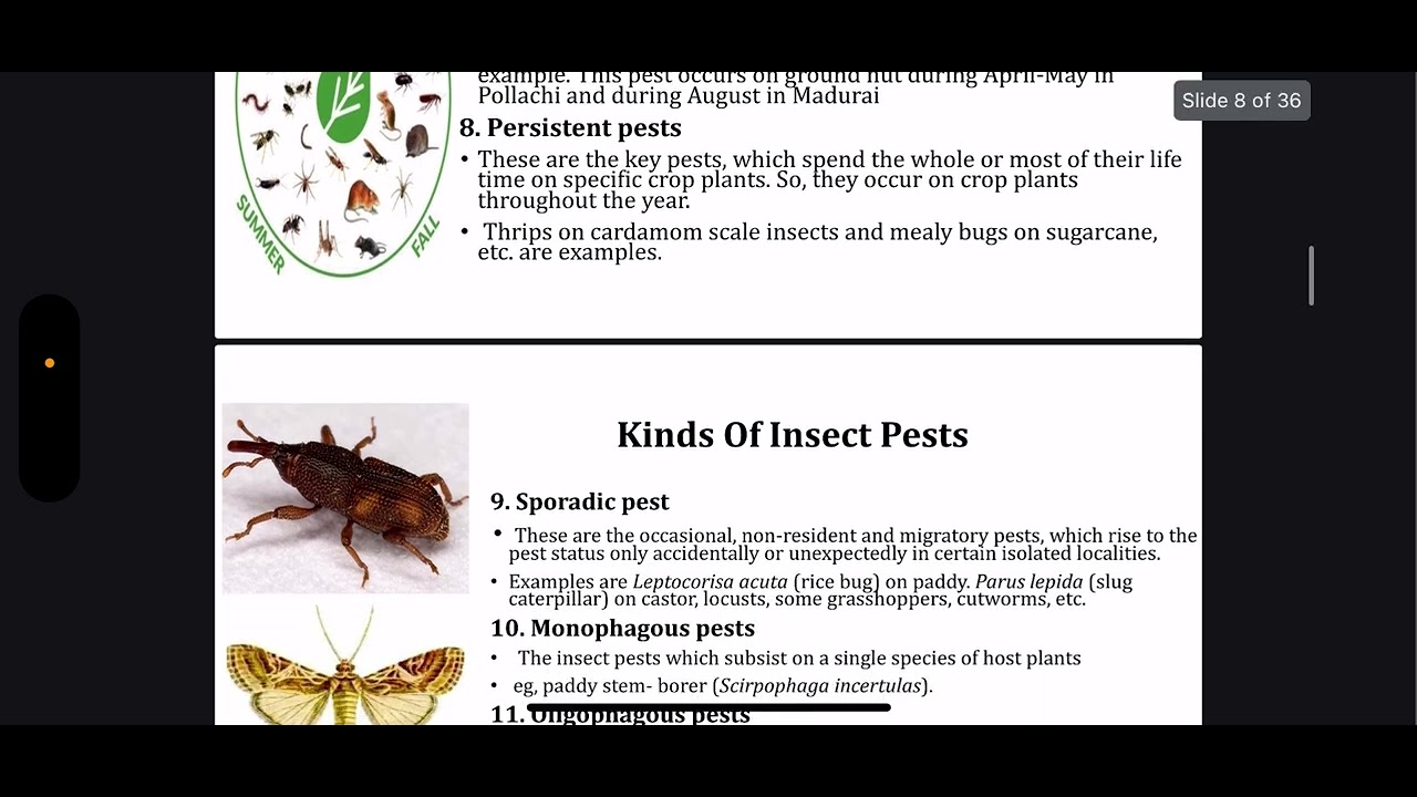 DEFINITION OF PESTS AND KINDS OF INSECT PESTS PART-1 - YouTube