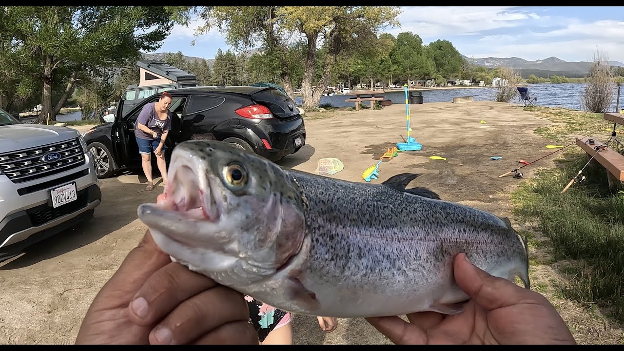 Lake Hemet TROUT FISHING!! BACK TO BACK - YouTube