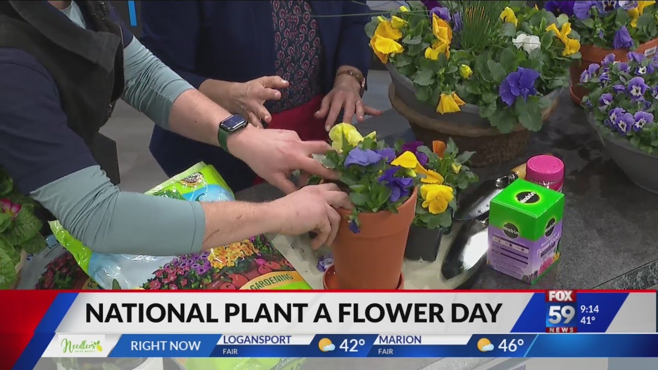 National Plant A Flower Day