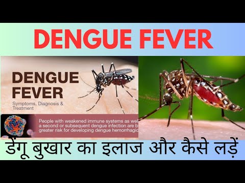 Dengue Fever Solution |How To Take Care Of Dengue Fever #medicine # ...