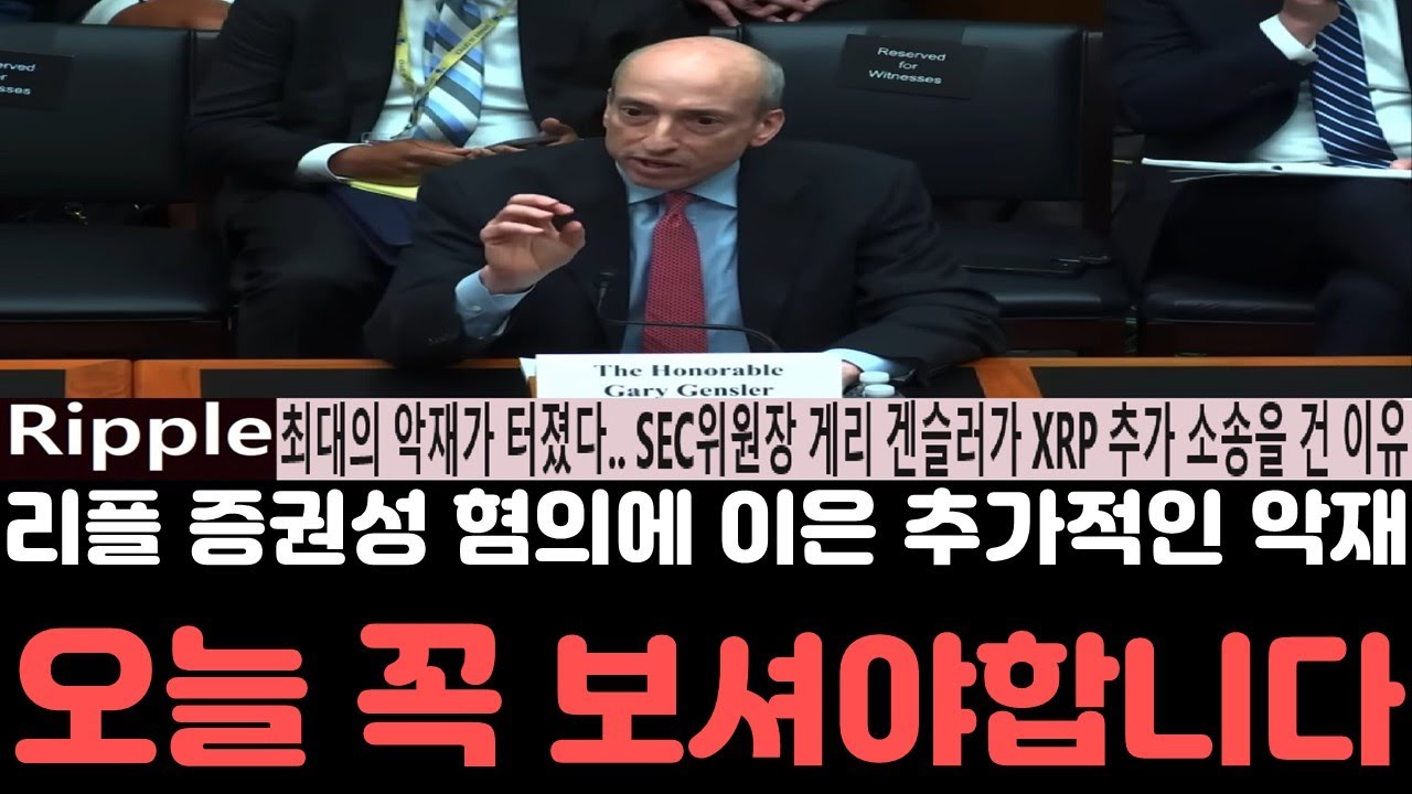 리플전망 리플 Xrp Sec 사상초유의 사태생각지도 못한 소송이 추가 된 이유 오늘 영상은 꼭 보셔야합니다 리플전망 리플호재 리플급등 리플코인 리플소송