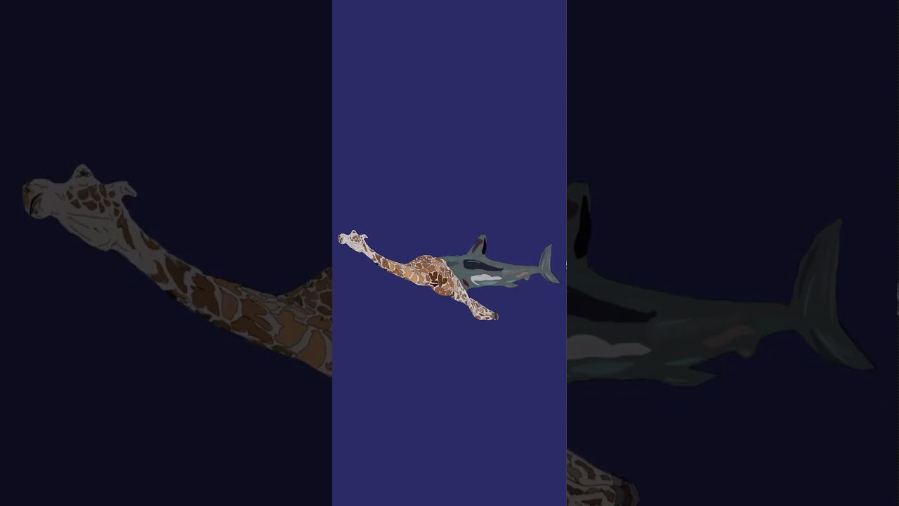 Giraffe Shark - YouTube