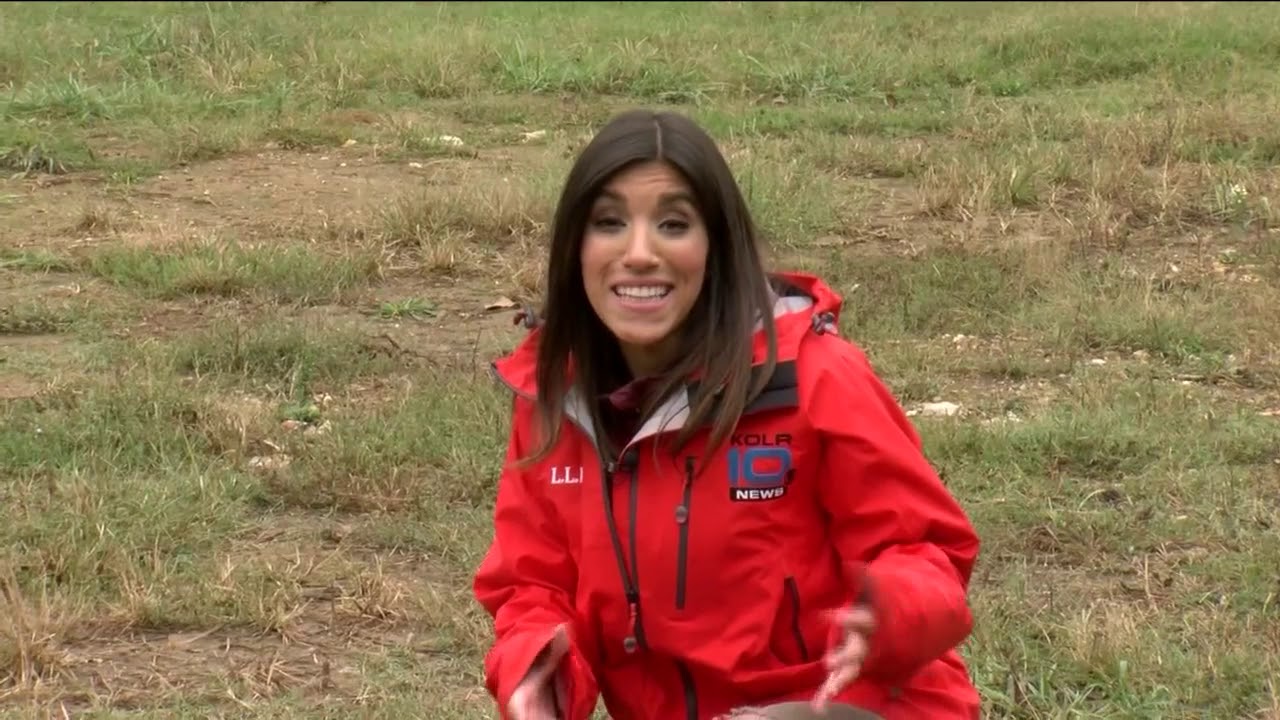 Elisa Raffa - KOLR 10, Black Vultures & Climate Change 11/14/18 - YouTube