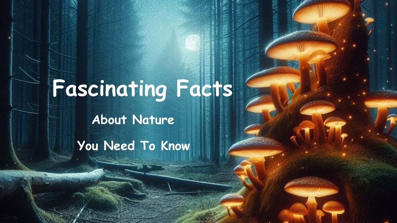 Mind Blowing Nature Facts You Need To Know Part 2 - YouTube