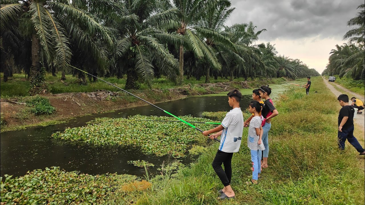 04/01/2023 Mancing Ikan Puyu at Kampung Bagan Buaya Penang - YouTube
