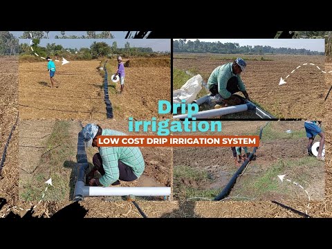 Drip fertigation in telugu || drip irrigation system in telugu | drip ...