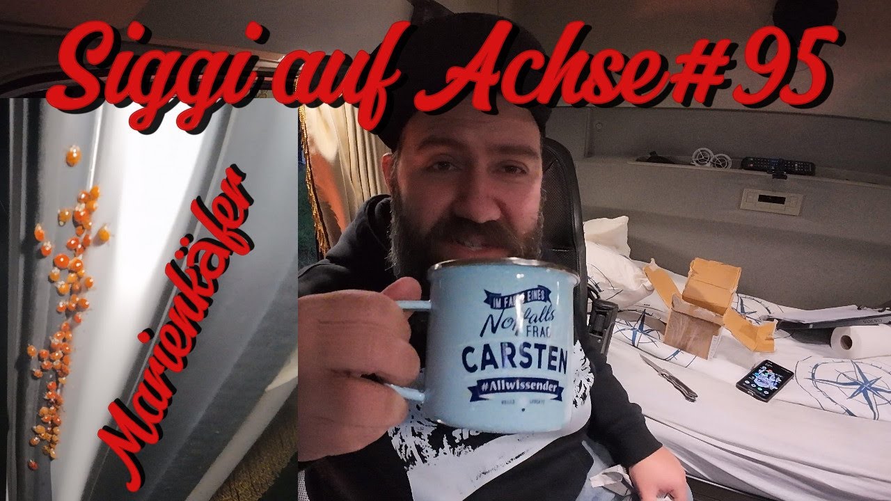 Fanpost und Marienkäfer angriff / Siggi auf Achse#95 Der LKw Vloger - YouTube