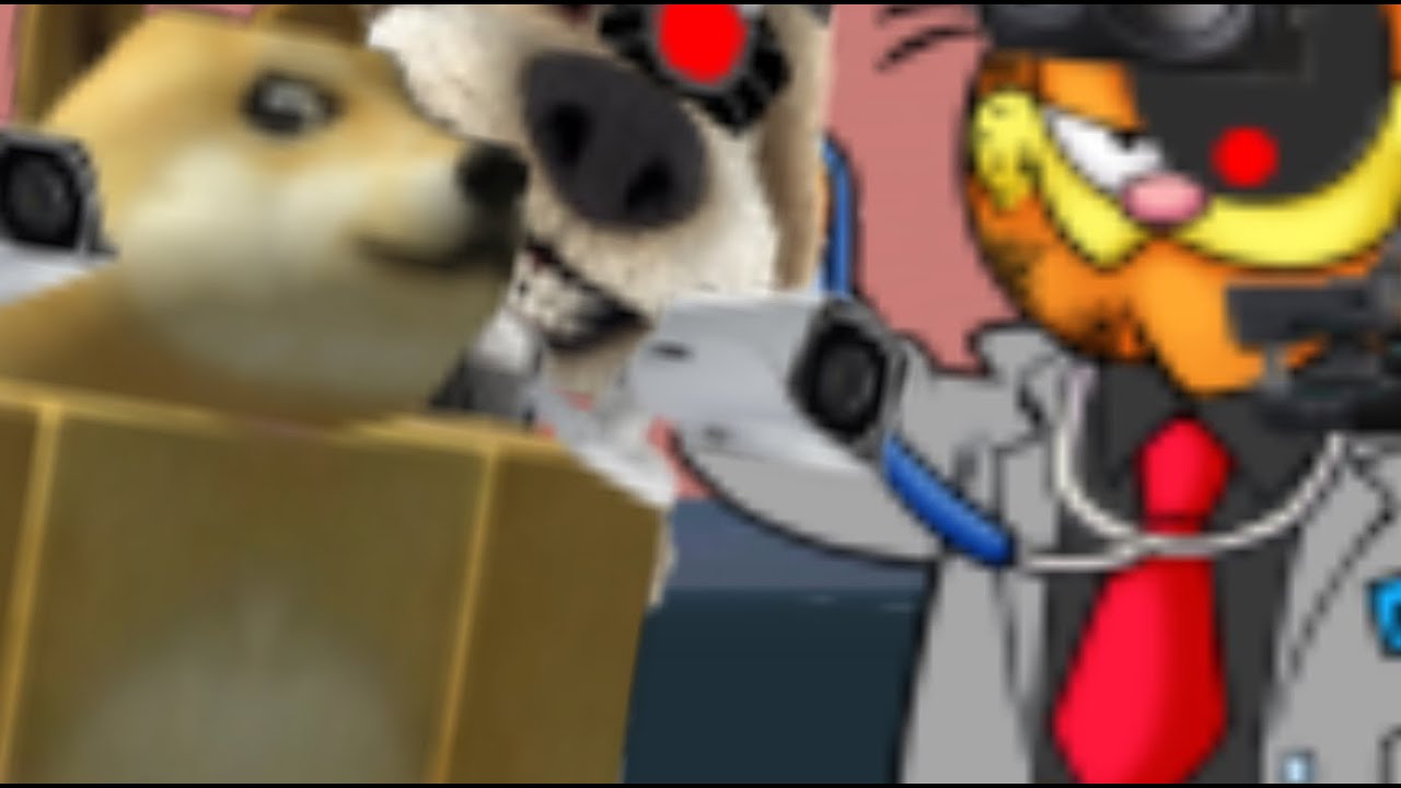 Boppity cat 45 (part 2) - YouTube