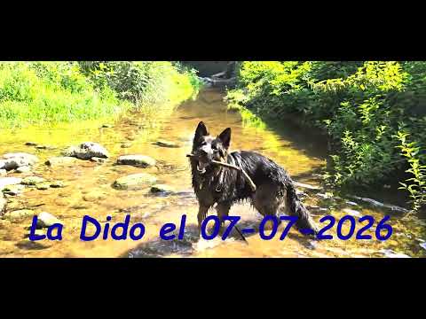 La Dido el 07 07 2026