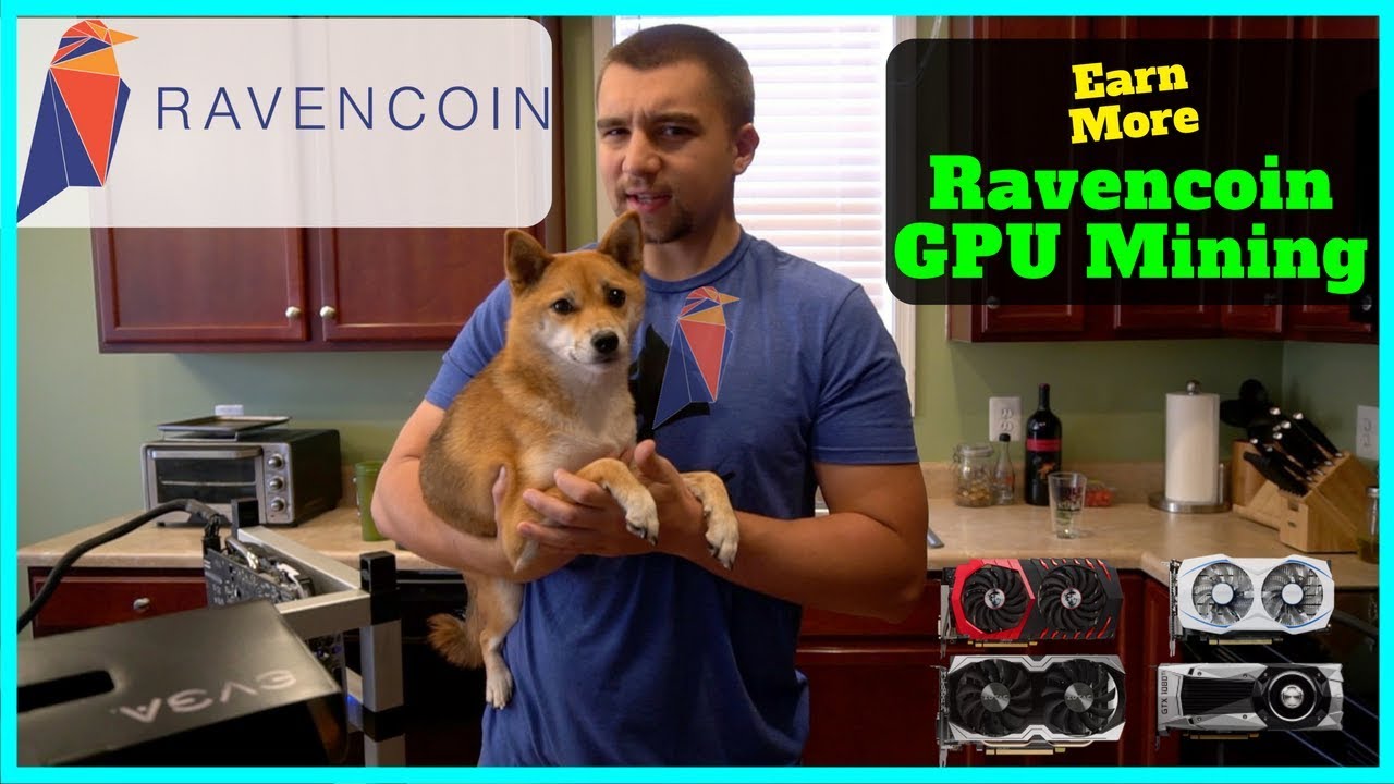 How To Mine Ravencoin + Best Wallet + Best RVN Miner - Increase Mining ...